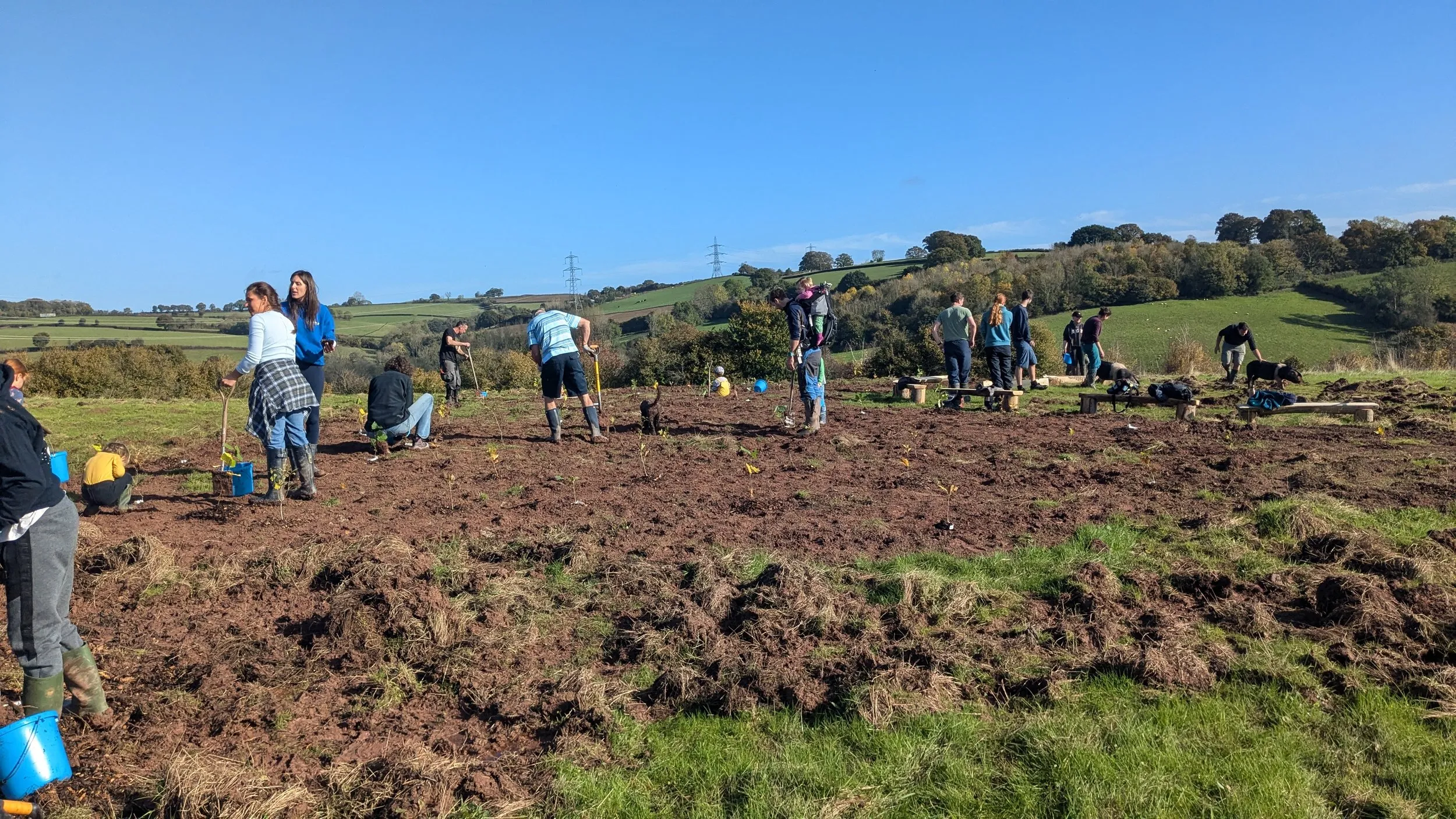 Grange Project | Inspiring People Through Wilder Nature