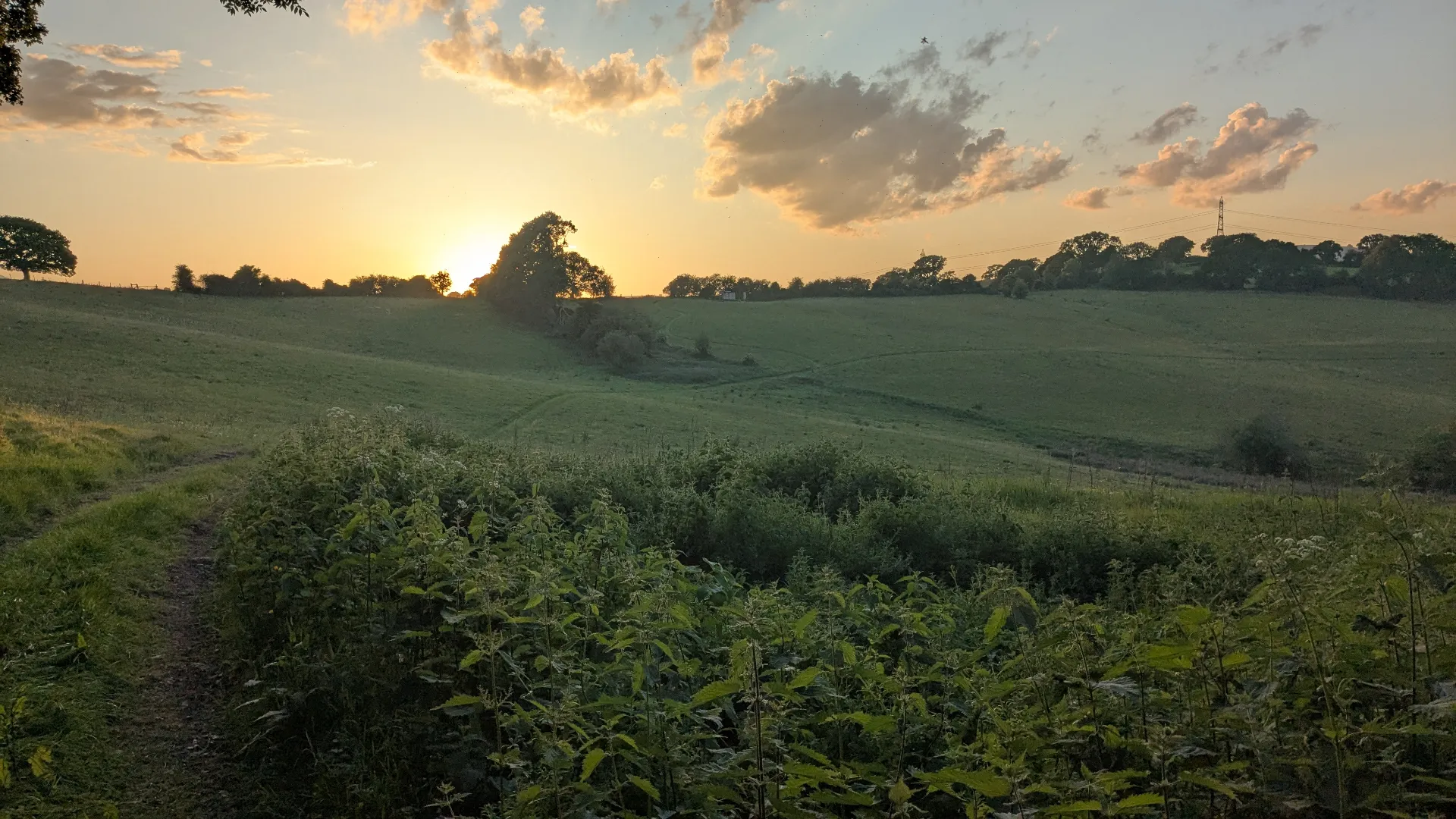 Grange Project | Inspiring People Through Wilder Nature