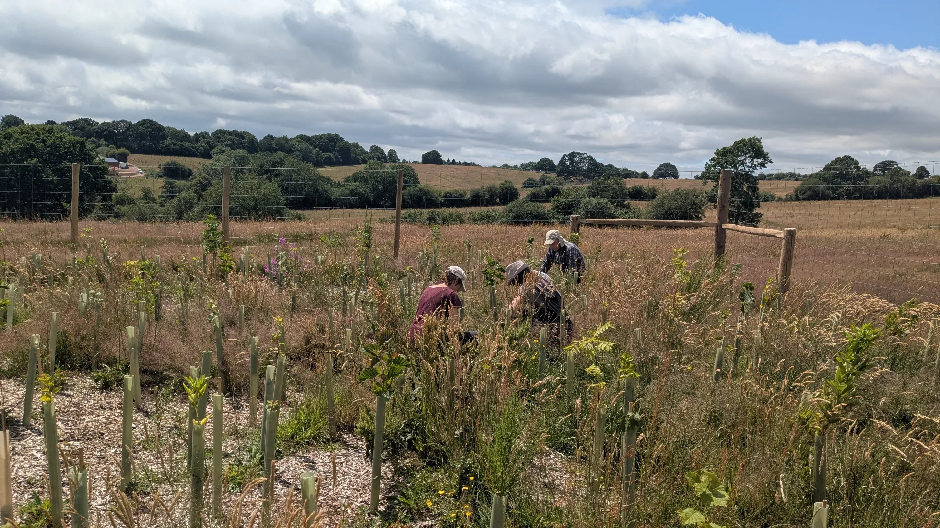 Grange Project | Inspiring People Through Wilder Nature