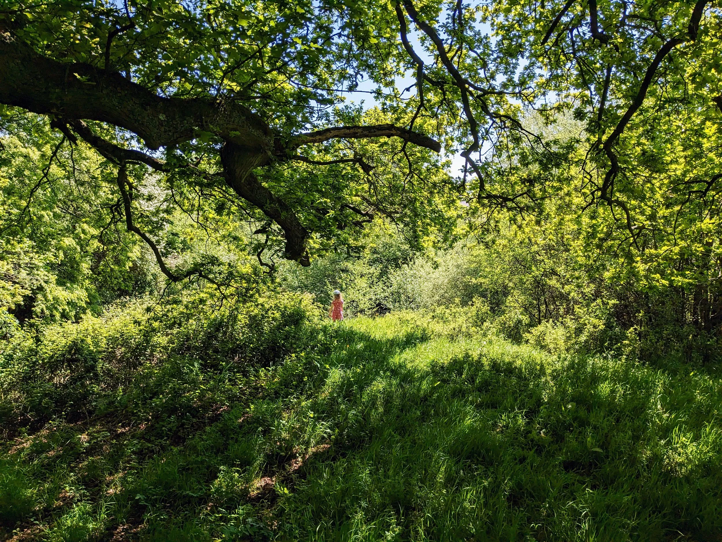 Grange Project | Inspiring People Through Wilder Nature