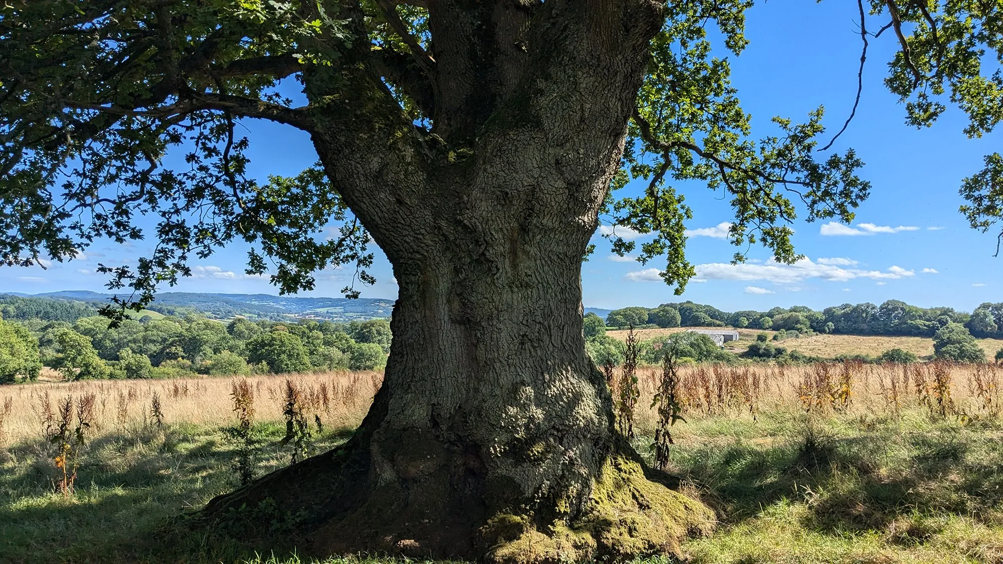 Grange Project | Inspiring People Through Wilder Nature