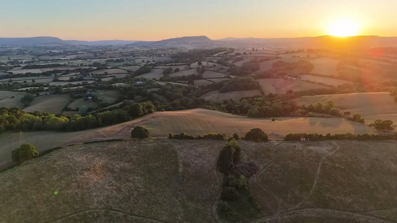 European Bison UK | Wilder Blean & Bison Rewilding