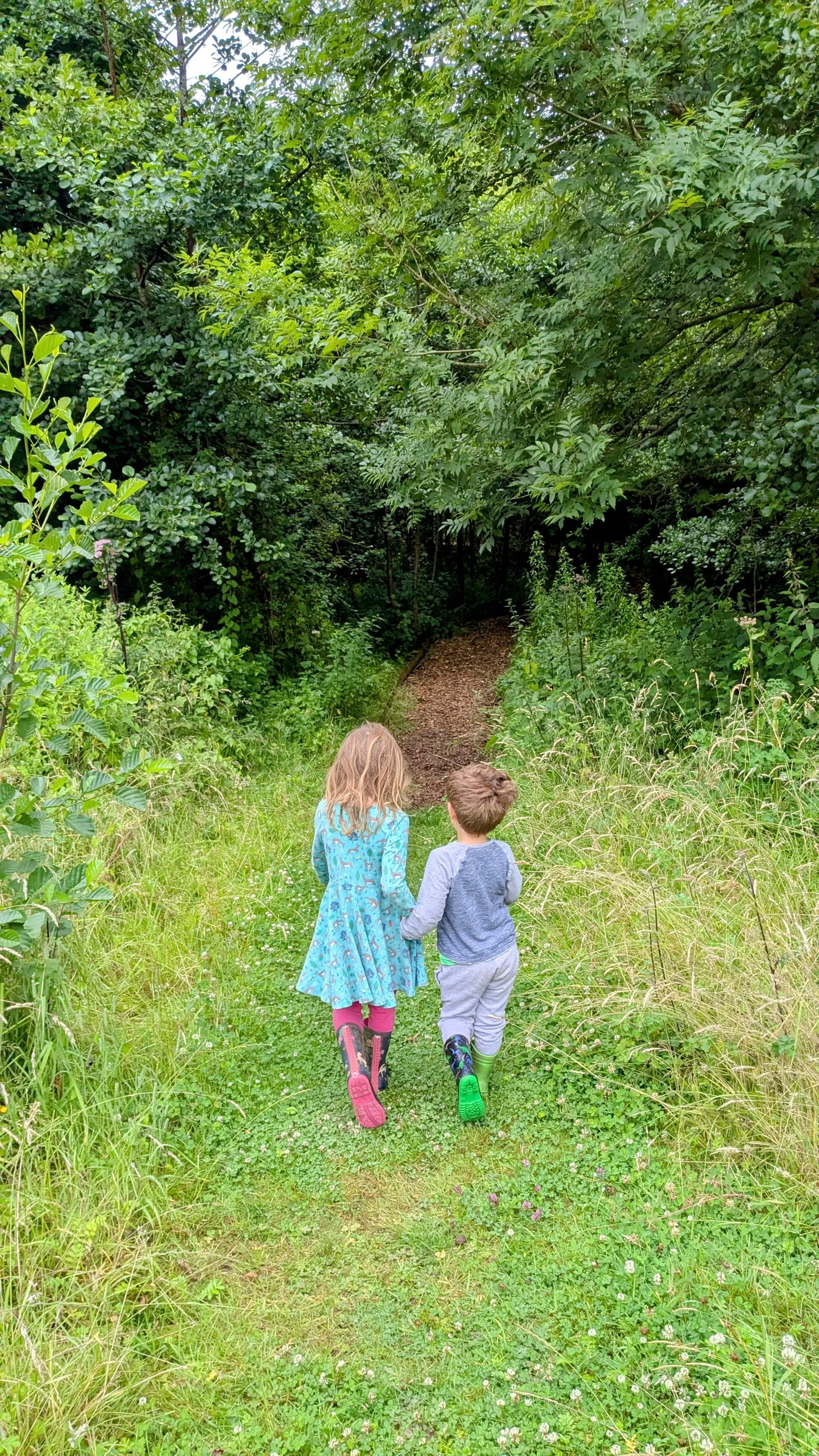 Grange Project | Inspiring People Through Wilder Nature